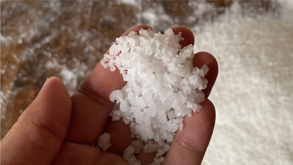 非加熱 5年熟成 プレミアム天日塩 ROJU SALT「5gx15=75g stick」 – ROJU FOOD